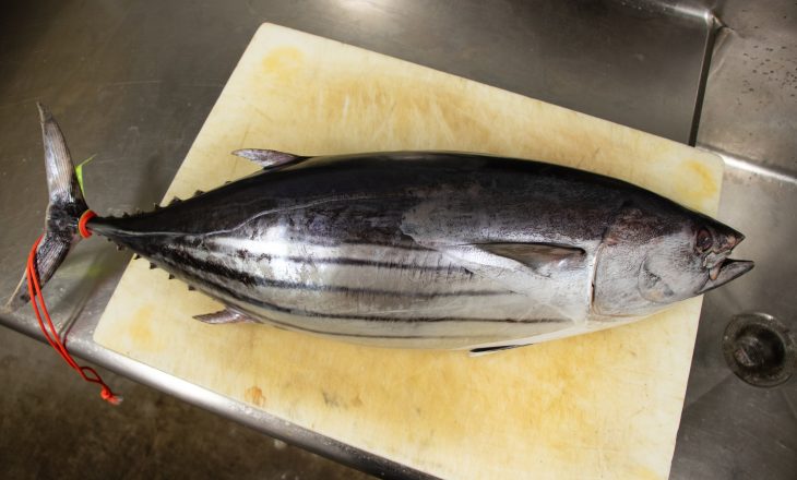 How to Breakdown Aku - Grove Farm