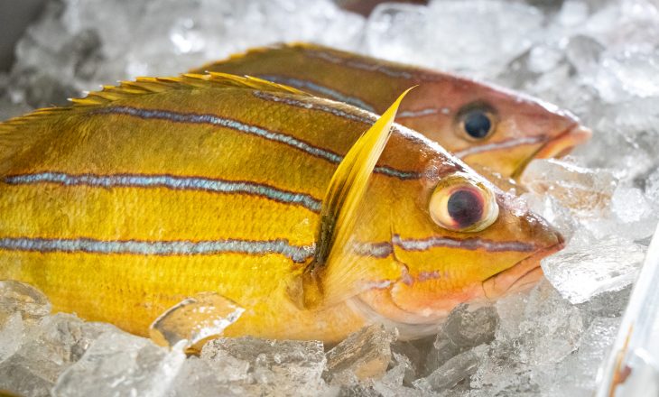 How to Clean Perch - Grove Farm